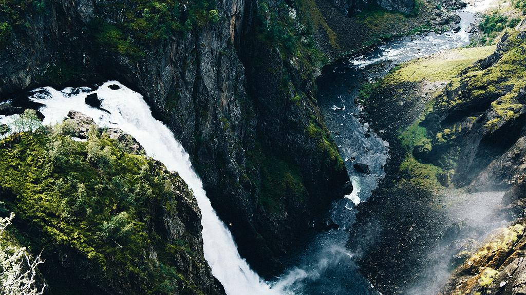 Inversinho: Áptero – Quando a liberdade as asas abriu - .inversivel